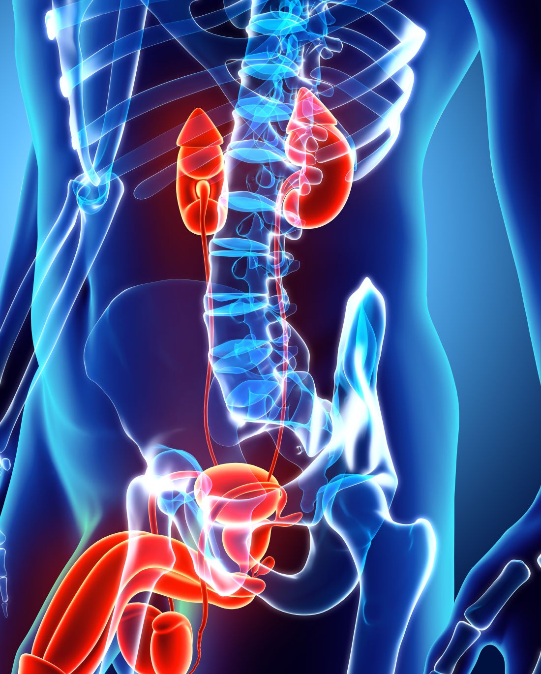 Blasenentzündung (Zystitis) ︎ Urologische Praxis München ︎